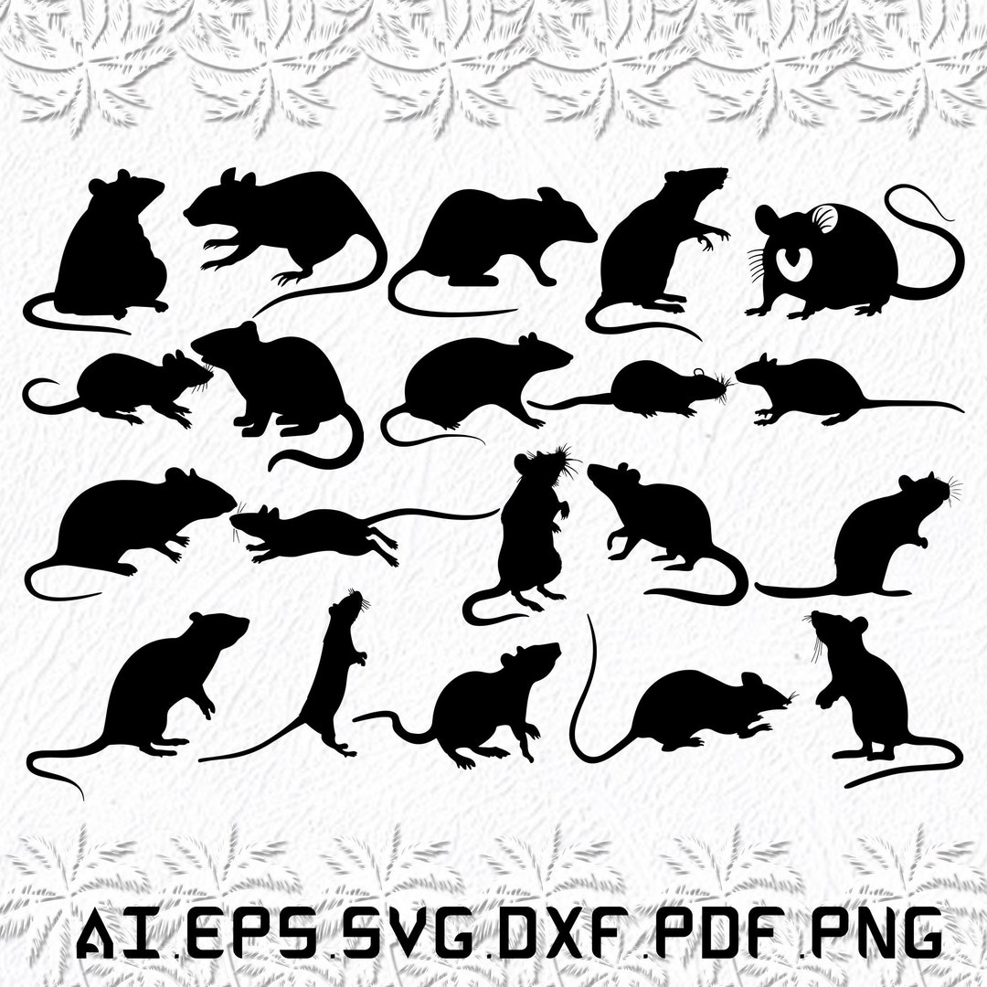 Rat Svg, Rats Svg, Animal Svg, Animals, Hot, SVG, Ai, Pdf, Eps, Svg ...