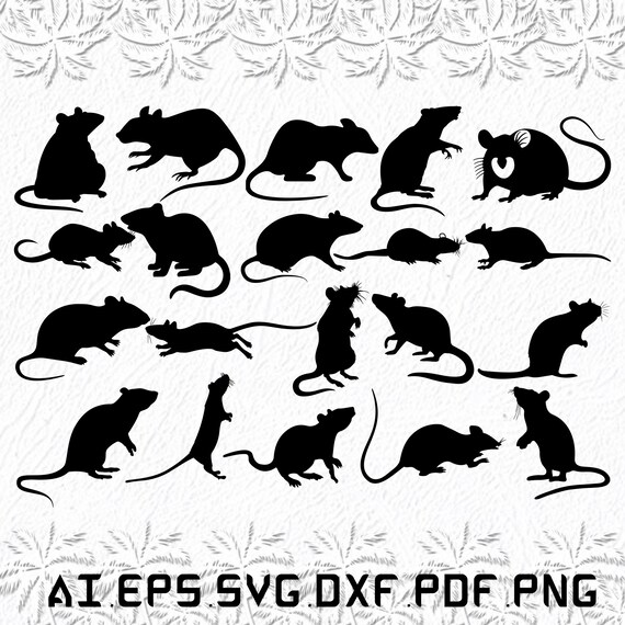 Rat Svg Rats Svg Animal Svg Animals Hot SVG Ai Pdf | Etsy UK