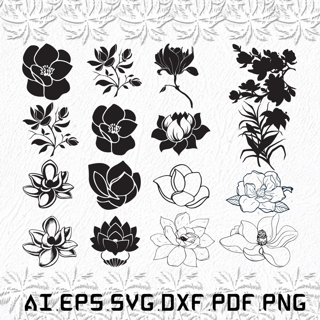 Magnolia Svg, Magnolias Svg, Nature Svg, Flower, Floral, SVG, Ai, Pdf ...