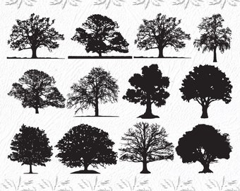 Oak Tree Svg - Etsy