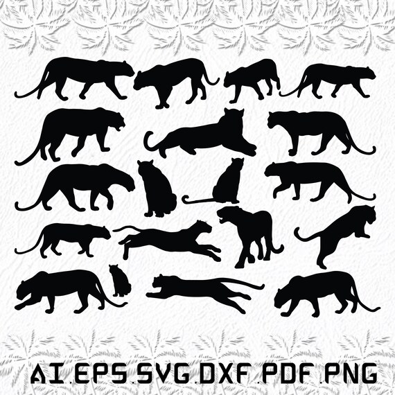 Leopard Svg Leopards Svg Animal Svg Cat Animals SVG Ai - Etsy