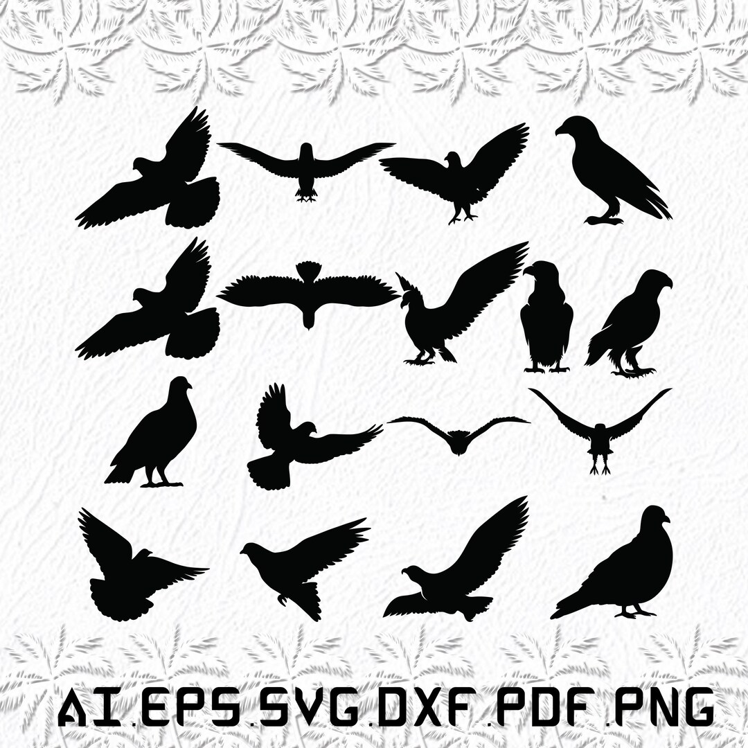 Cat Bird Svg, Cat Birds Svg, CATS Svg, Birds, Bird, SVG, Ai, Pdf, Eps ...