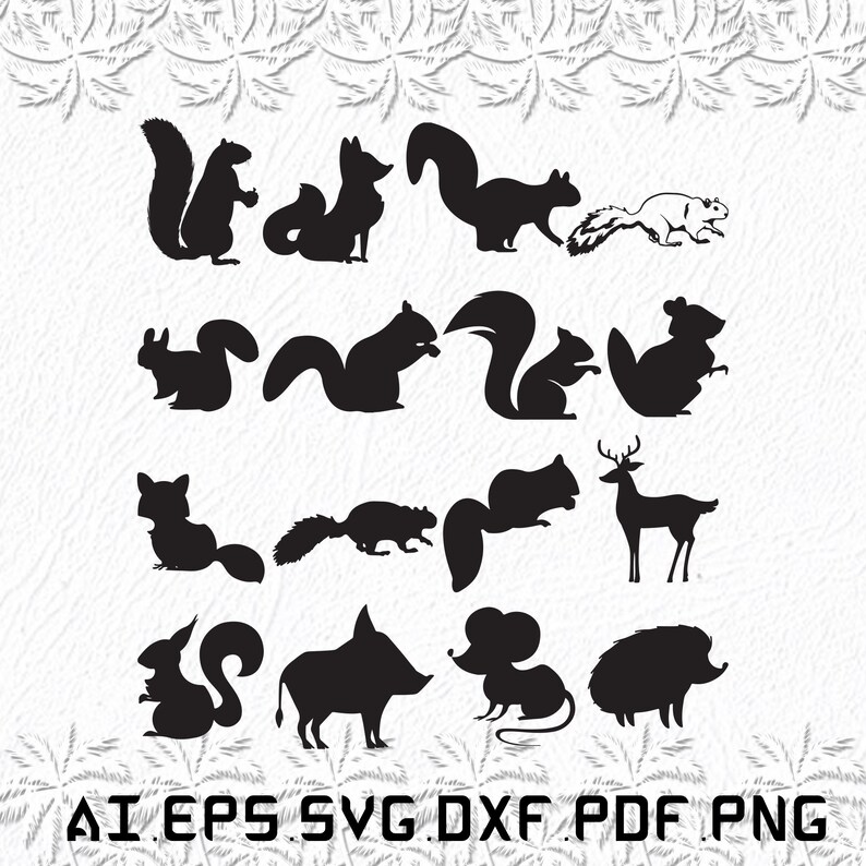 Sneaky Squirrel Svg Sneaky Squirrels Svg Love Svg Sneaky - Etsy
