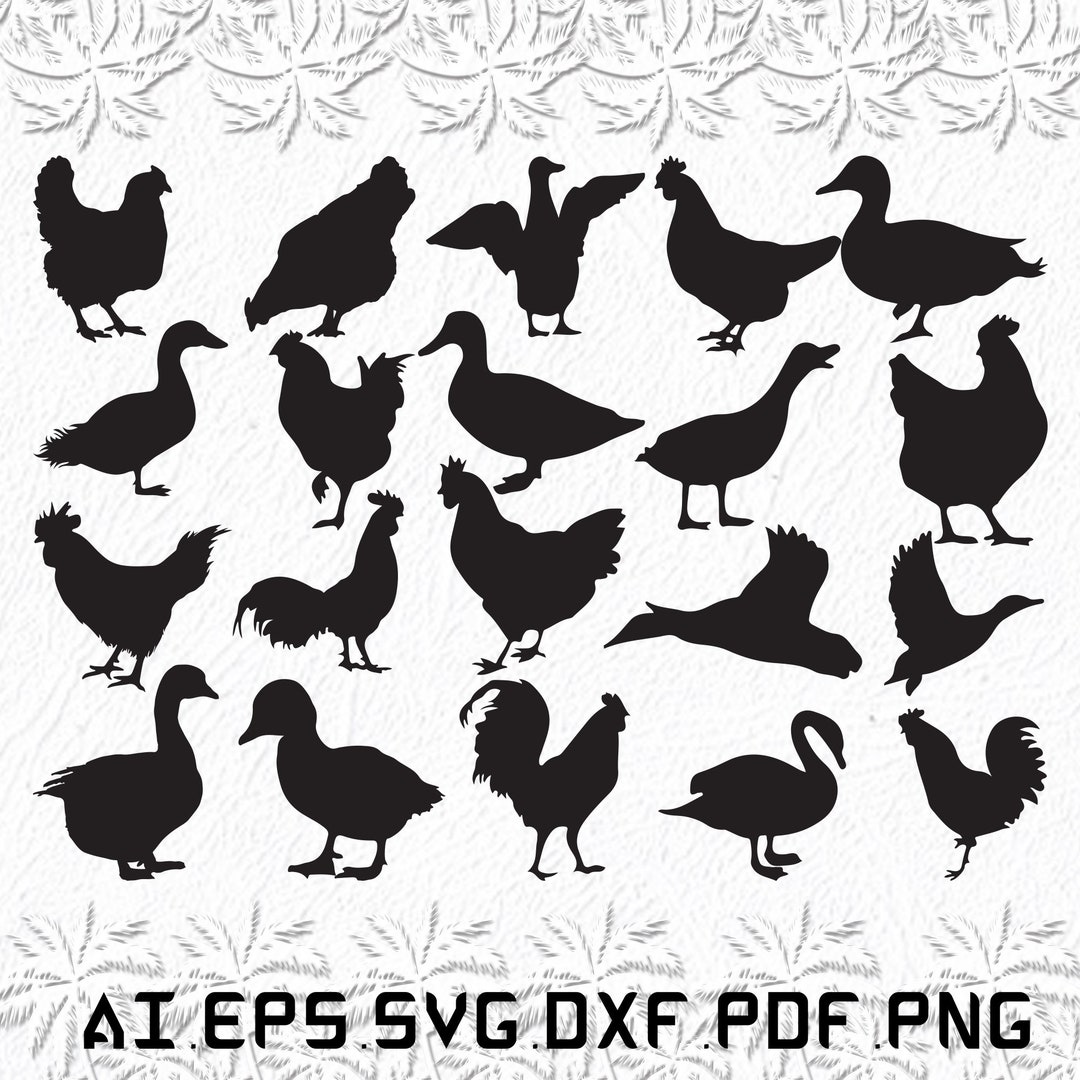 Roster Hen and Duck Svg, Roster Hen and Ducks Svg, Roster Hen Duck Svg ...