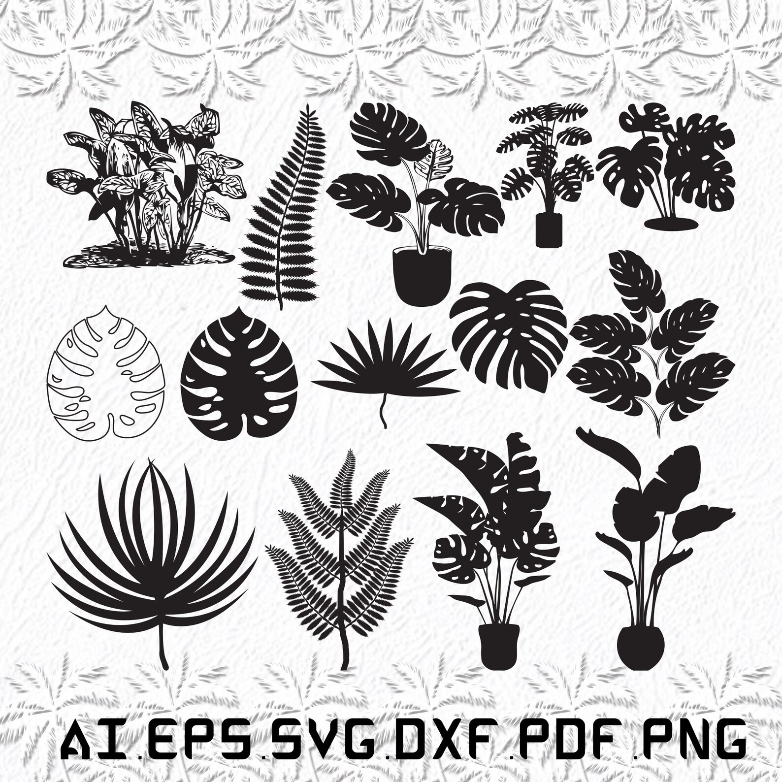 Monstera Plant Svg Monstera Svg Plant Svg Monstera Leaf - Etsy