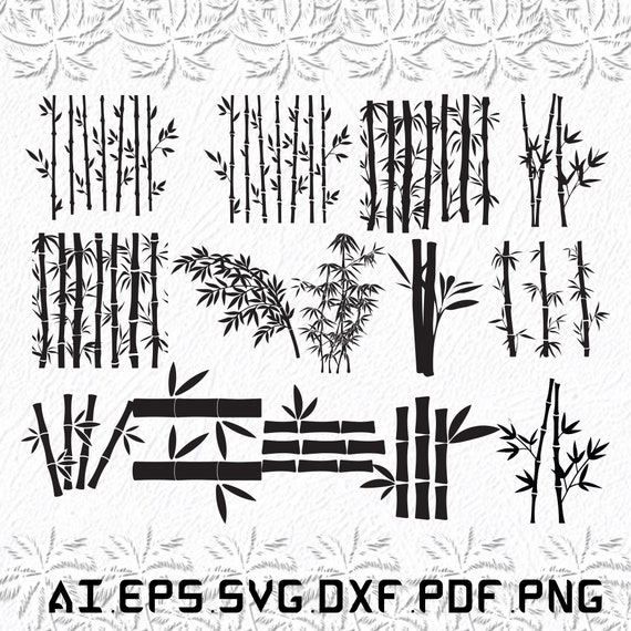 Bamboo Svg Bamboos Svg Green Svg Nature Panda SVG Ai - Etsy