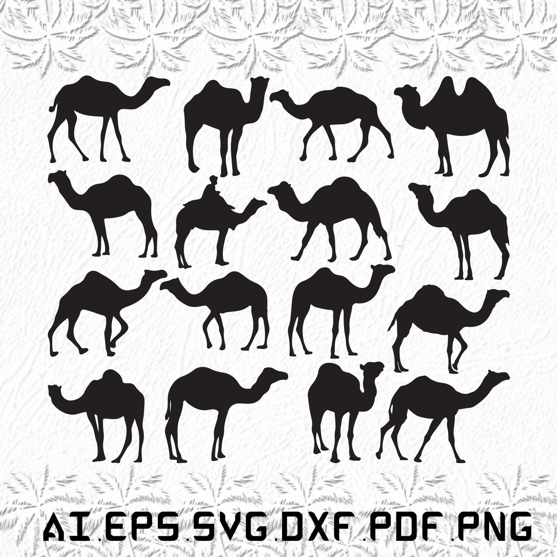 Camel Svg Camels Svg Animals Svg Animal Arabi SVG Ai - Etsy