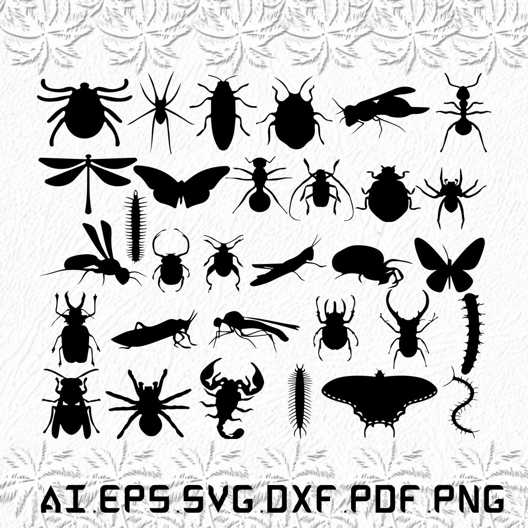 Insect Svg, Insects Svg, Bee Svg, Nature, Black, SVG, Ai, Pdf, Eps, Svg ...