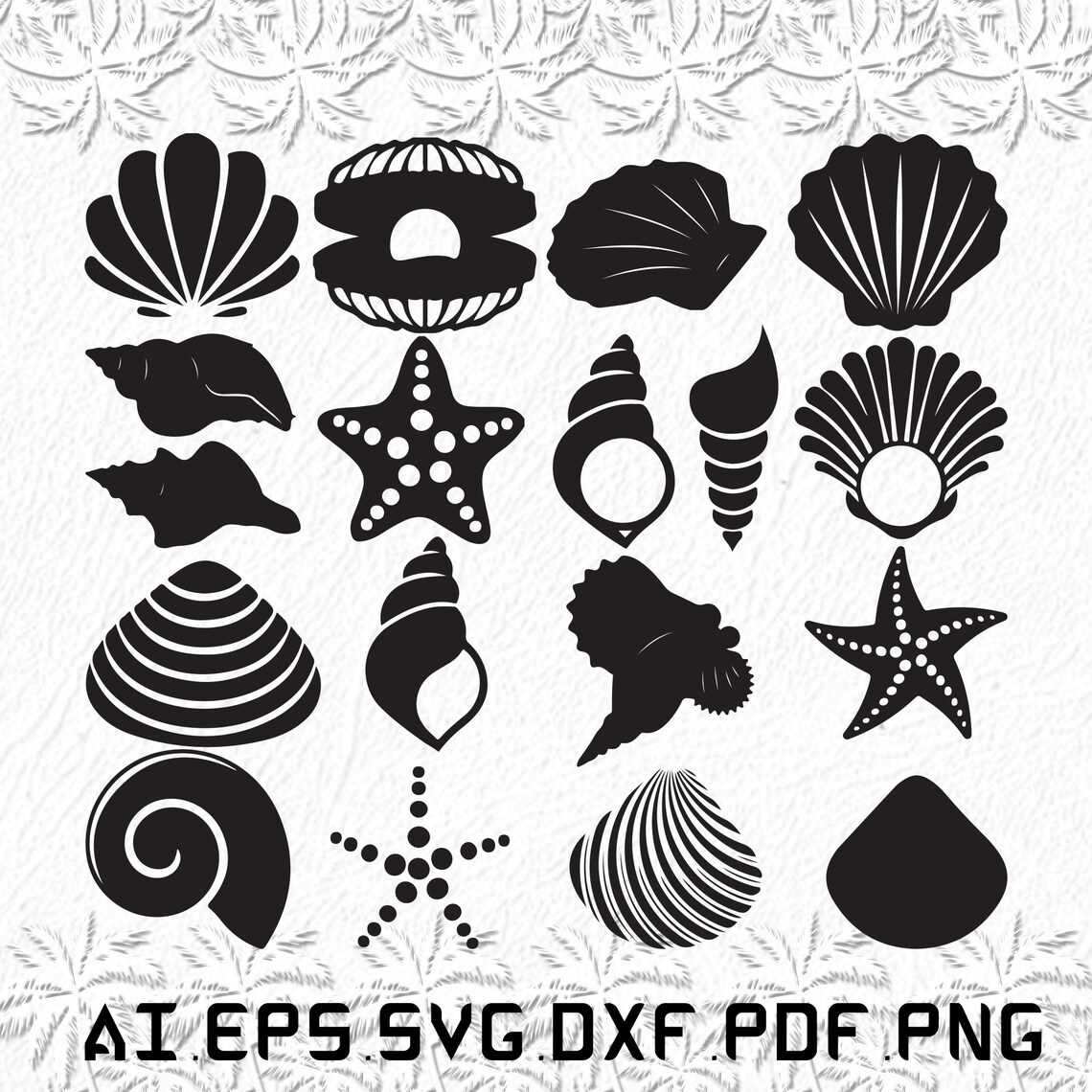 Seashell Svg Seashells Svg Animal Svg Animals Pet SVG - Etsy