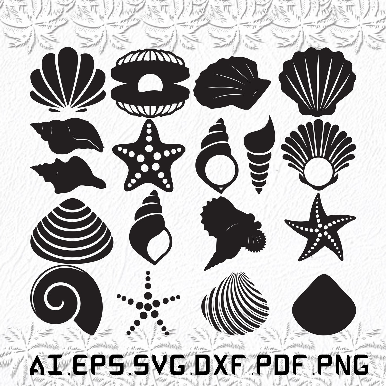 Seashell Svg Seashells Svg Animal Svg Animals Pet SVG - Etsy