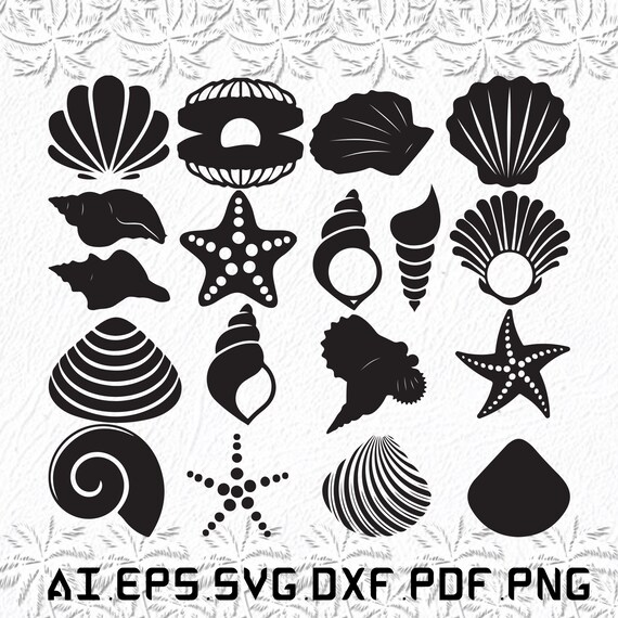 Seashell Svg Seashells Svg Animal Svg Animals Pet SVG - Etsy