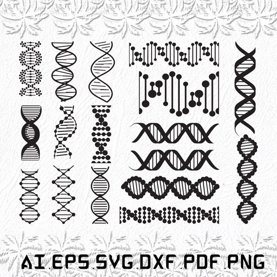 DNA Svg Science Svg Biology Svg Lab Nerd SVG Ai Pdf - Etsy