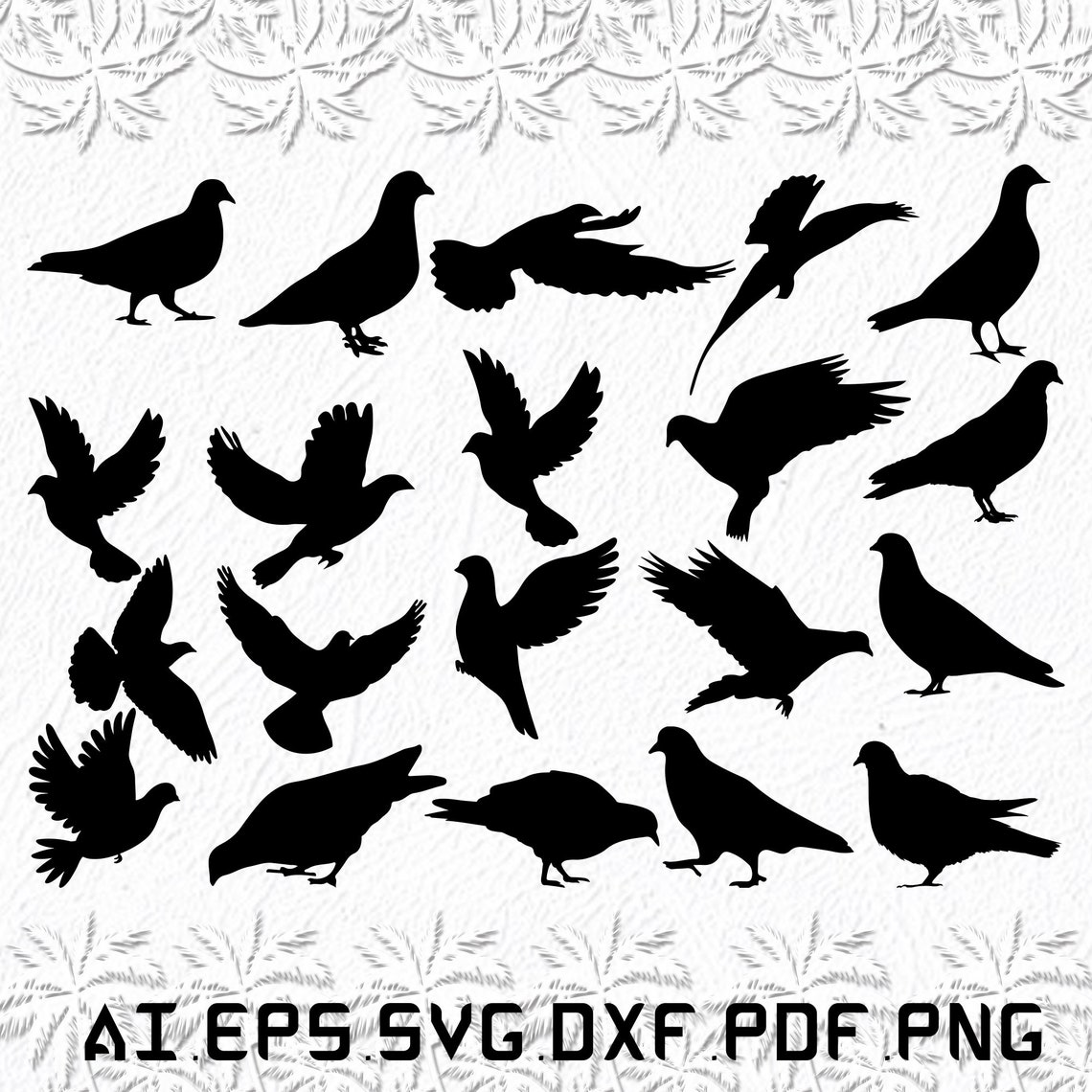 Pigeon Svg Pigeons Svg Dove Svg Bird Birds SVG Ai Pdf | Etsy