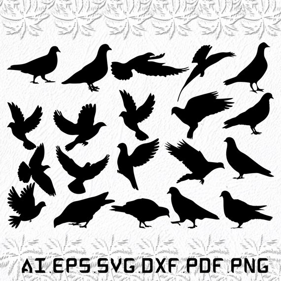 Pigeon Svg Pigeons Svg Dove Svg Bird Birds SVG Ai Pdf | Etsy