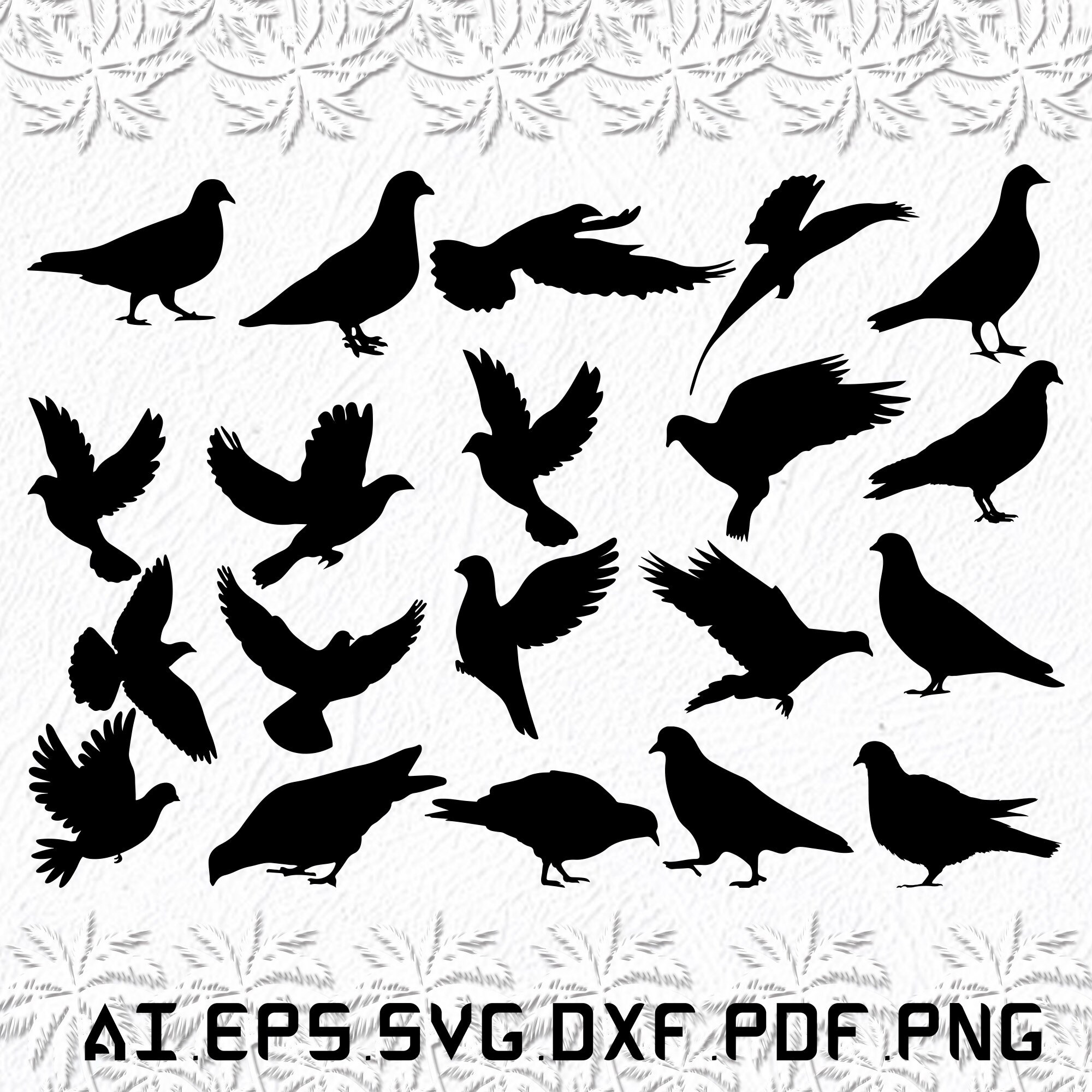 Files Nasa Moon Pigeons