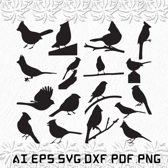 Cardinal Svg Cardinals Svg Birds Svg Bird Red SVG Ai - Etsy