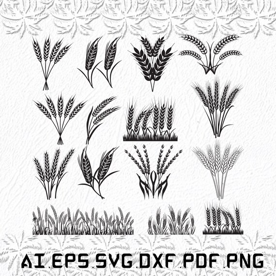 Wheat Svg Wheats Svg Nature Svg Green Happy SVG Ai Pdf - Etsy