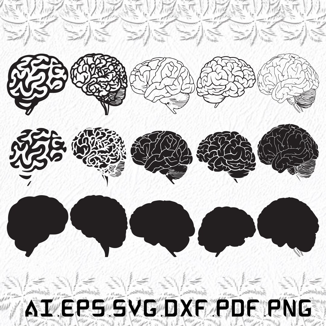 Human Brain Svg, Human Svg, Human Brains Svg, Brain, Man, SVG, Ai, Pdf ...