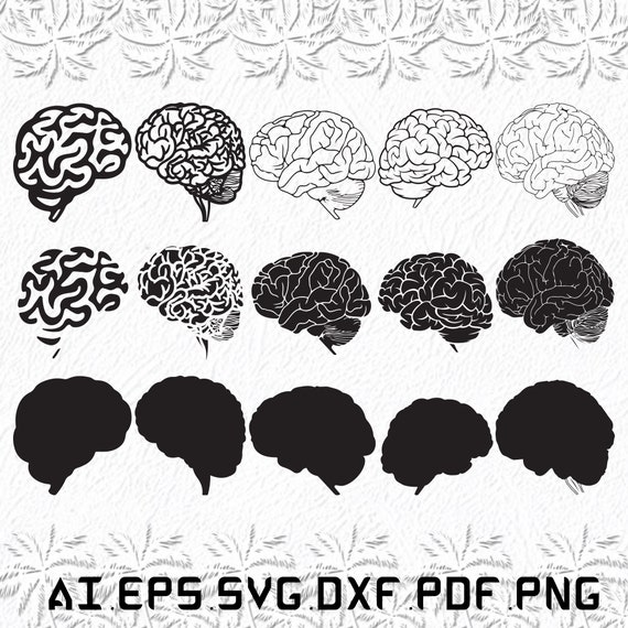 Human Brain Svg Human Svg Human Brains Svg Brain Man SVG - Etsy