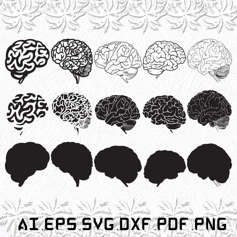 Human Brain Svg, Human Svg, Human Brains Svg, Brain, Man, SVG, Ai, Pdf ...