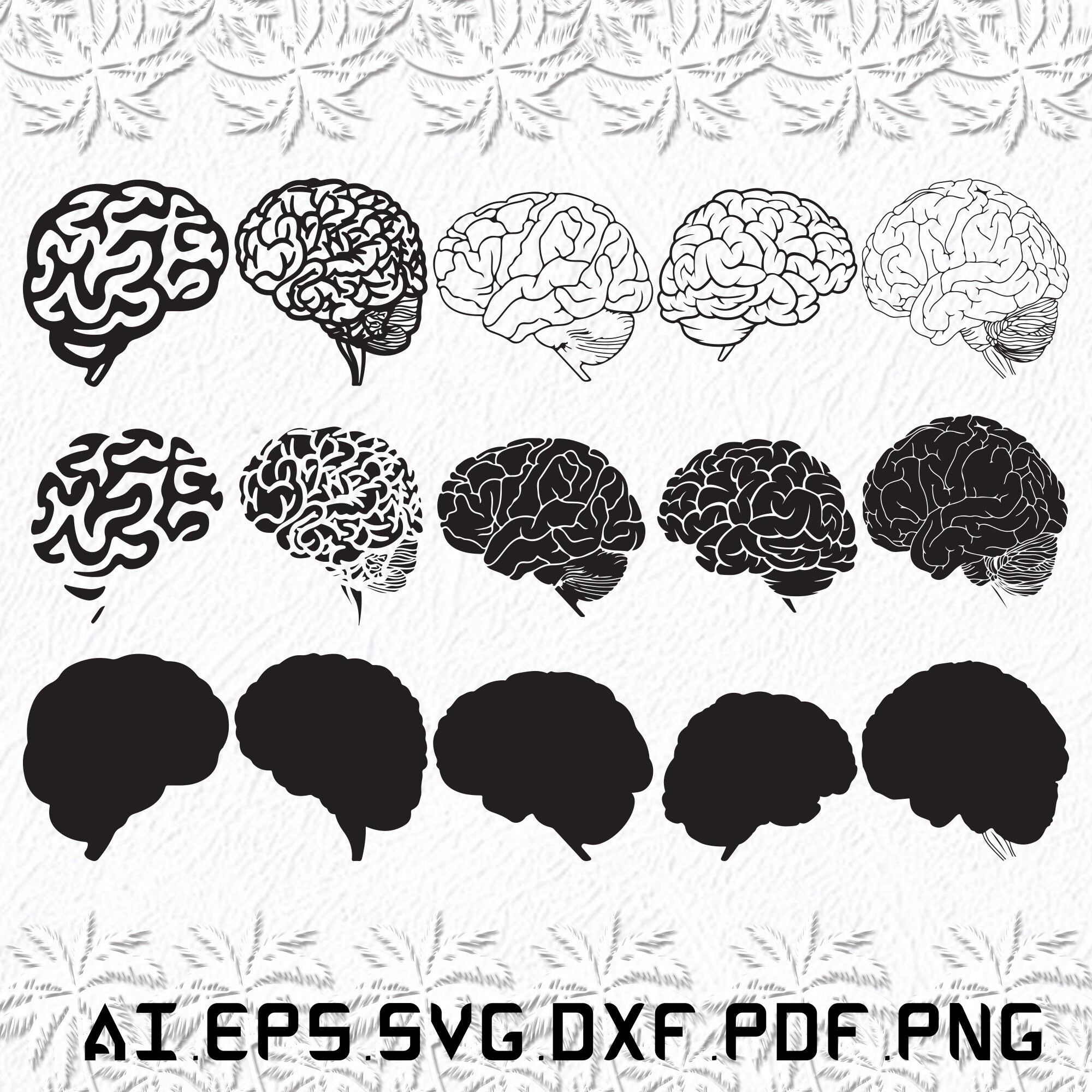 Human Brain Svg, Human Svg, Human Brains Svg, Brain, Man, SVG, Ai, Pdf ...