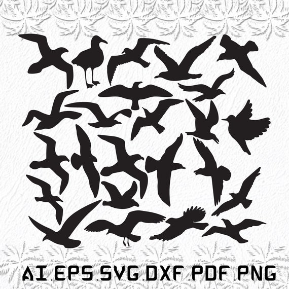 Seagulls Svg Bird Svg Sea Svg Ocean Water SVG Ai Pdf | Etsy