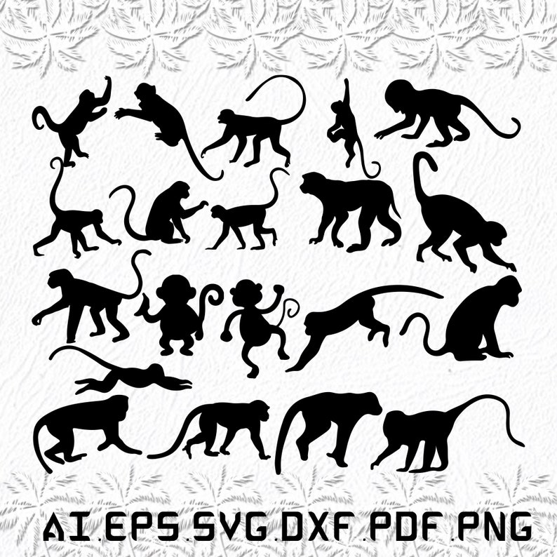 Monkey Svg Monkeys Svg Animal Svg Animals Ape SVG Ai - Etsy
