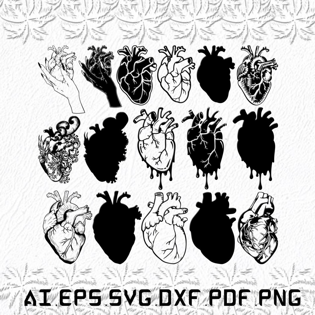 Heart Svg,human Heart Svg,human Svg, Medical School, Real Human, SVG ...