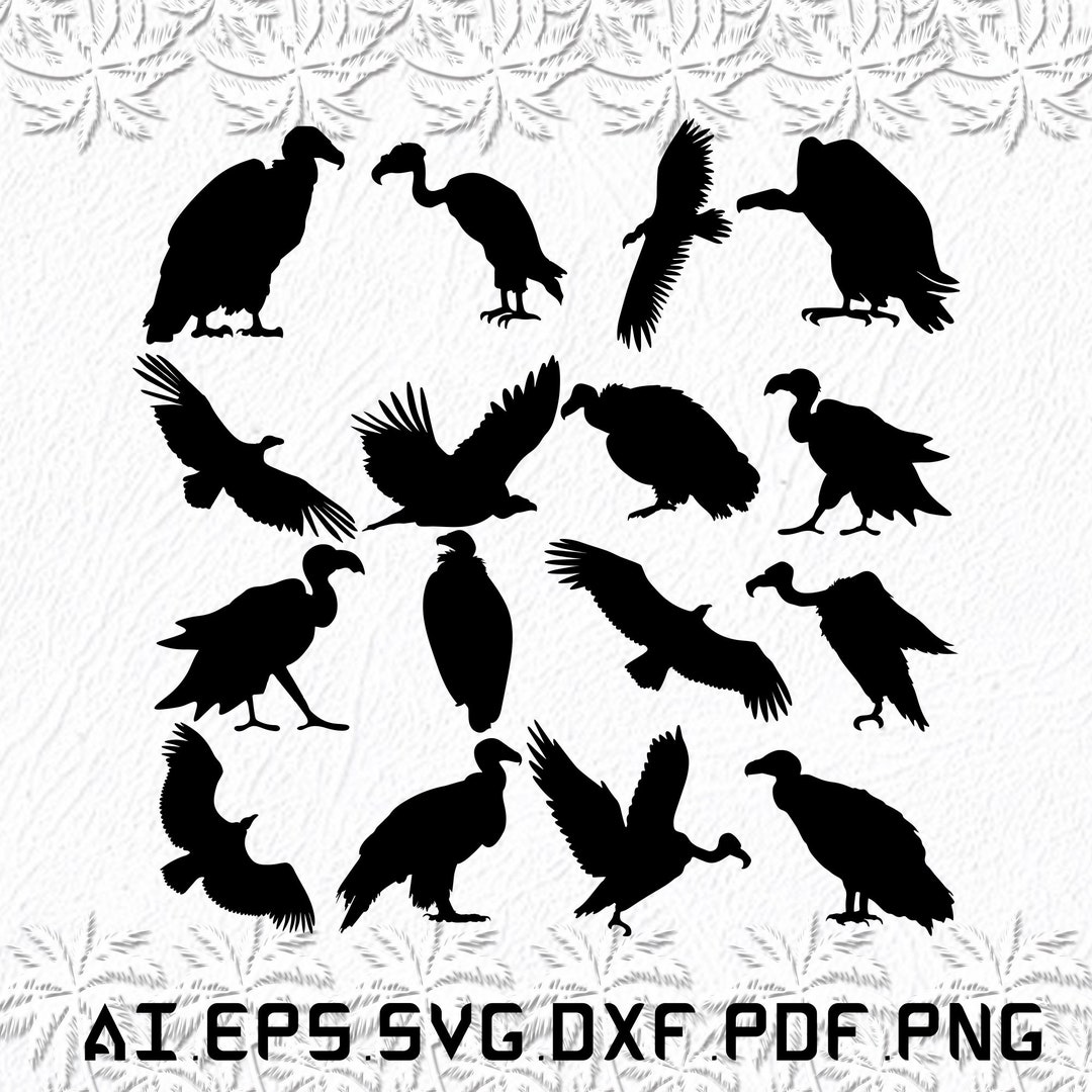 Vulture Svg, Vultures Svg, Bird Svg, Birds, Animal, SVG, Ai, Pdf, Eps ...