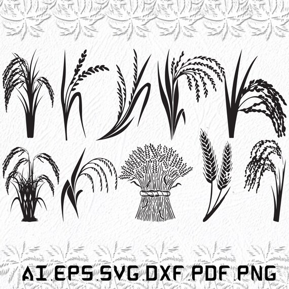 Paddy Svg Paddys Svg Rice Svg Work Padds SVG Ai Pdf - Etsy