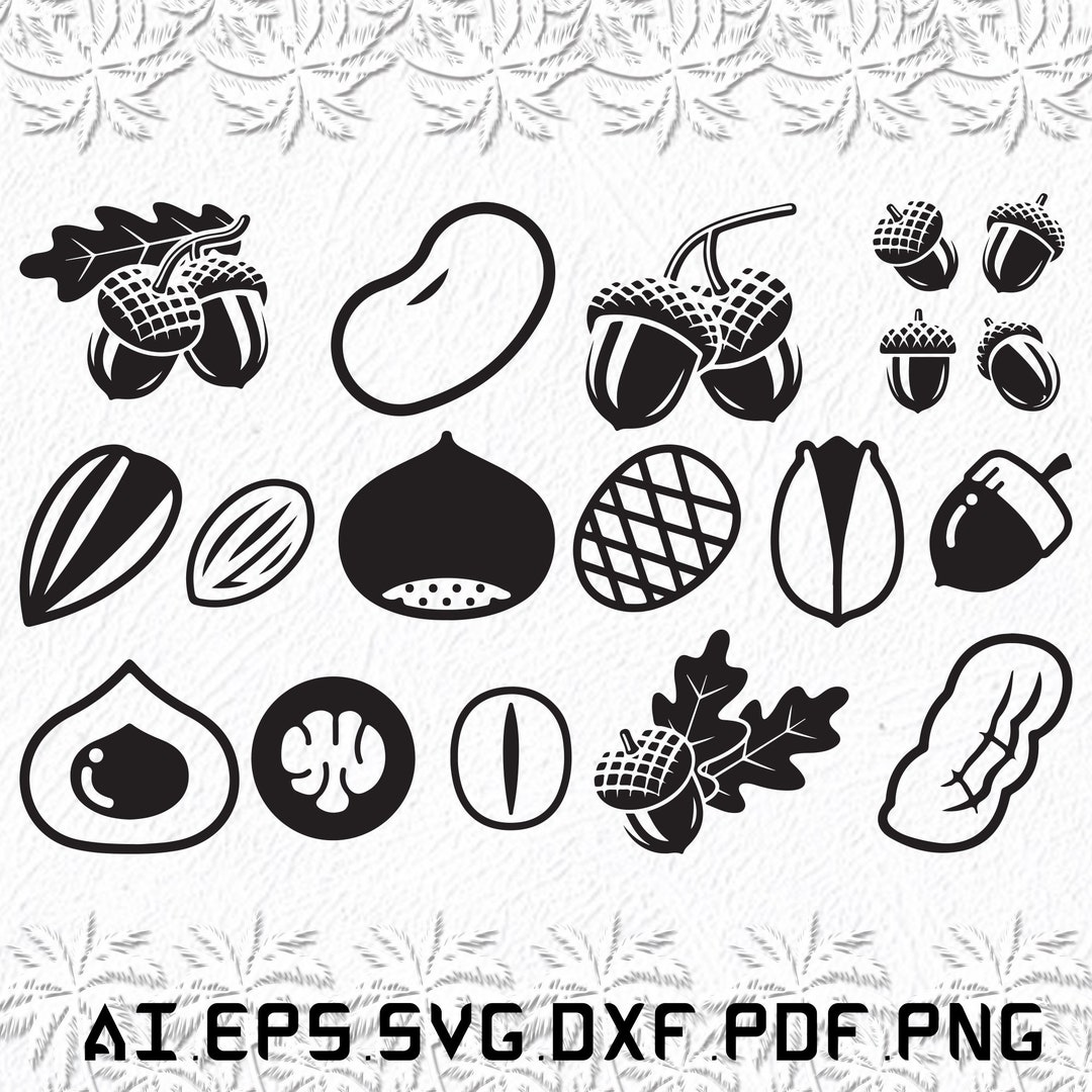 Nut Svg, Nuts Svg, Love Svg, Hand, Car, SVG, Ai, Pdf, Eps, Svg, Dxf ...