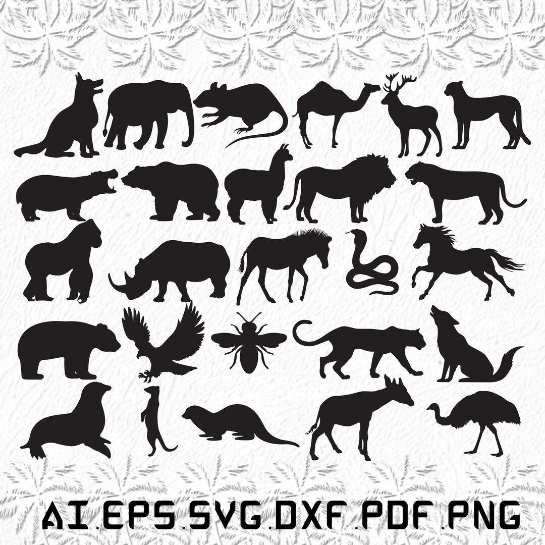 Zoo Animal Svg, Animal Svg, Animals Svg, Nature, Zoo, SVG, Ai, Pdf, Eps ...