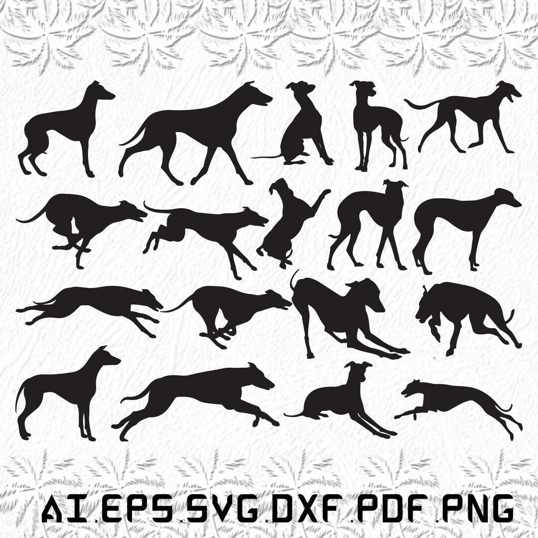 Greyhound Dog Svg, Greyhound Dogs Svg, Greyhound Svg, Dog, Dogs, SVG ...