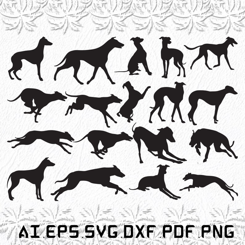 Greyhound Dog Svg Greyhound Dogs Svg Greyhound Svg Dog - Etsy
