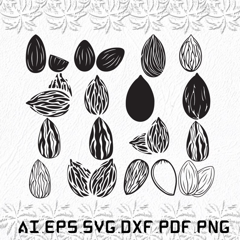 Almond Svg Almonds Svg Fruit Svg Food Lover SVG Ai Pdf - Etsy