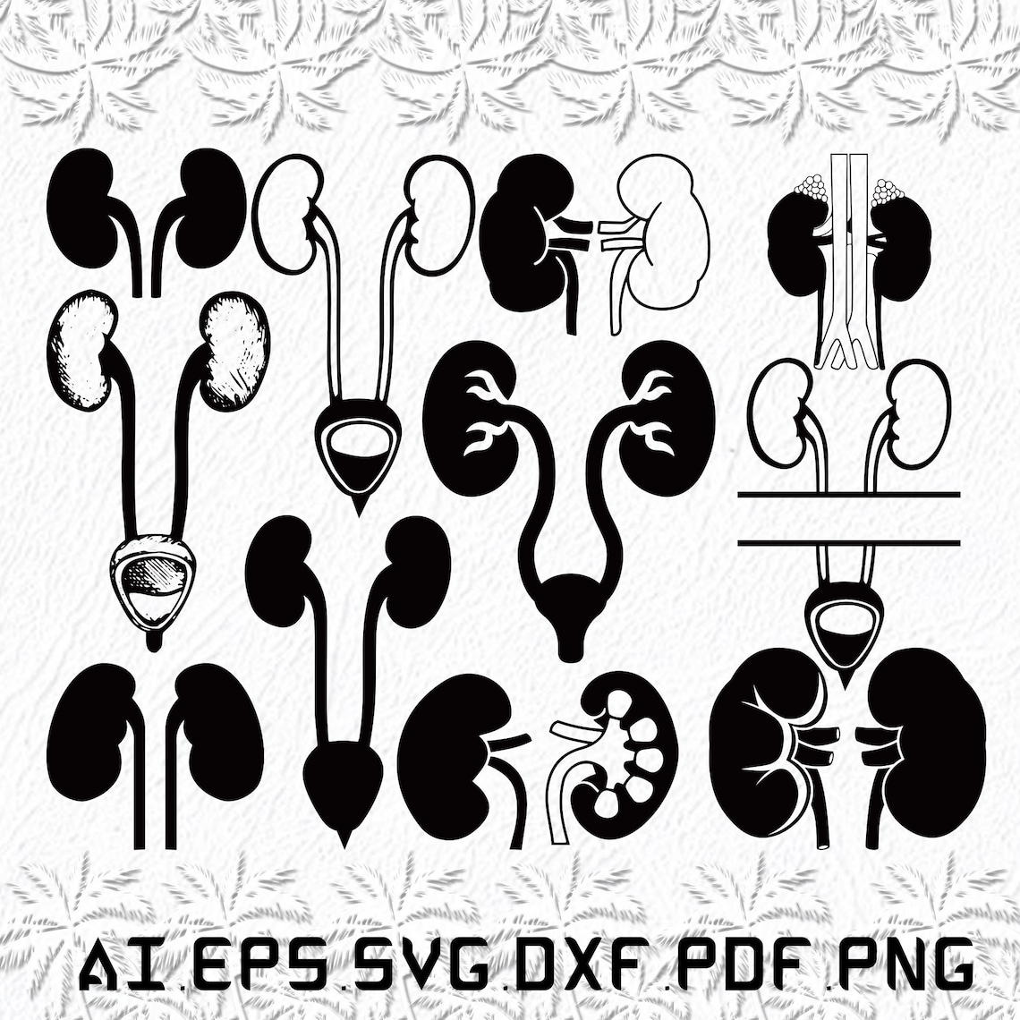 Kidney Svg, Donate Kidney Svg, Kidney Stone Svg, Disease, Bladder, SVG ...