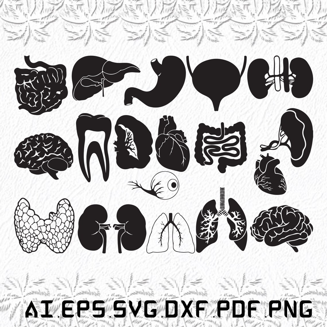 Human Organs Svg Human Organss Svg Human Svg Organs Man - Etsy