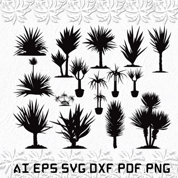 Yucca Svg Yucca Garden Svg Yucca Flower Svg Yucca Plant | Etsy Canada