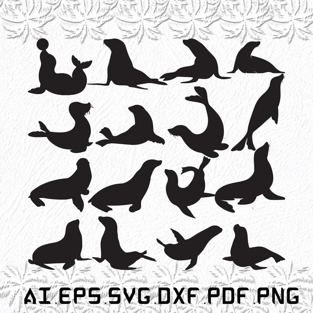 Robbe svg, Robben svg, Meer svg, Seelöwe, Tier, SVG, ai, pdf, eps, svg ...