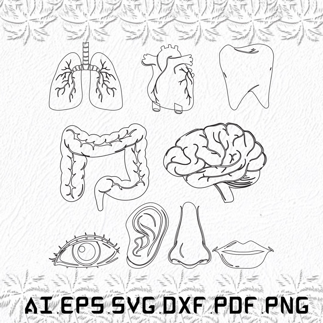 Body Part Svg, Body Parts Svg, Body Svg, Part, Parts, SVG, Ai, Pdf, Eps ...