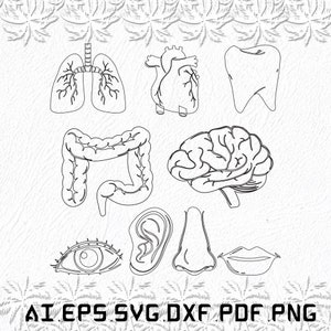 Body Part Svg Body Parts Svg Body Svg Part Parts SVG Ai - Etsy