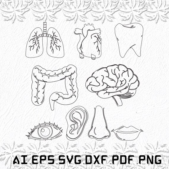 Body Part Svg Body Parts Svg Body Svg Part Parts SVG Ai - Etsy Ireland