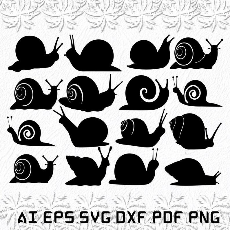 Snail Svg Snails Svg Animal Svg Animals Nature SVG Ai - Etsy