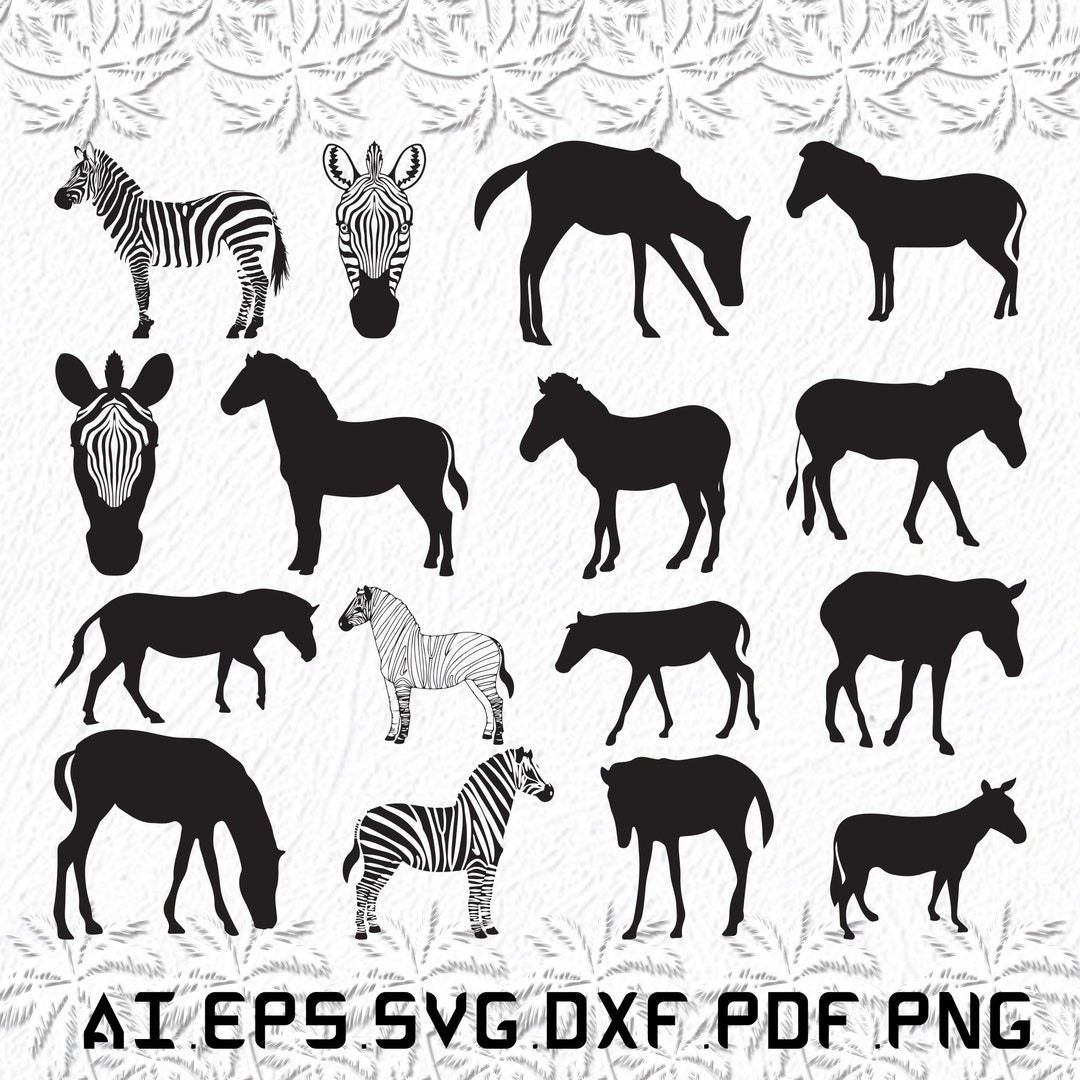 Zebra Svg, Zebras Svg, Animal Svg, Zoo, Animals, SVG, Ai, Pdf, Eps, Svg ...
