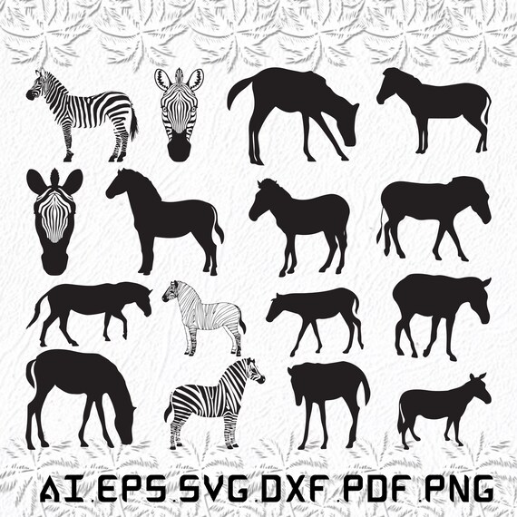 Zebra Svg Zebras Svg Animal Svg Zoo Animals SVG Ai Pdf - Etsy