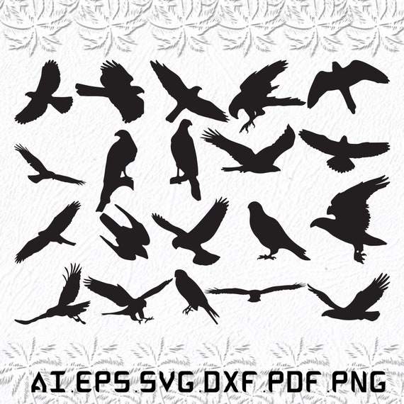 Hawk Svg Hawks Svg Birds Svg Bird Anime SVG Ai Pdf - Etsy
