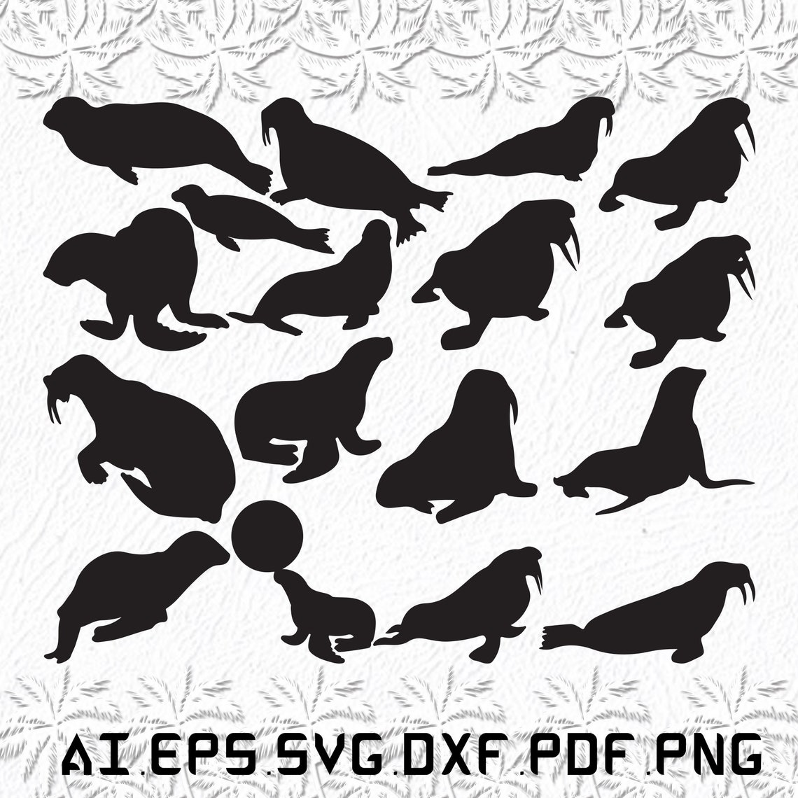 Walrus Svg Animal Svg Animals Svg Wild Forest SVG Ai - Etsy