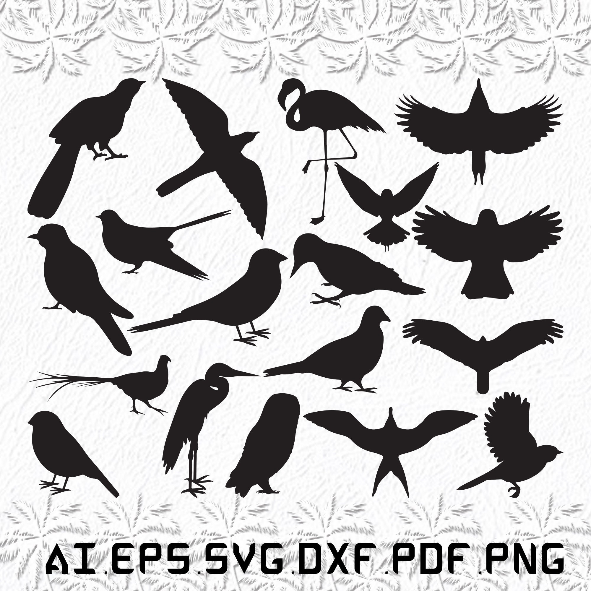 Kuckuck svg Kuckuck svg Vogel svg Vögel Liebhaber SVG - Etsy Schweiz