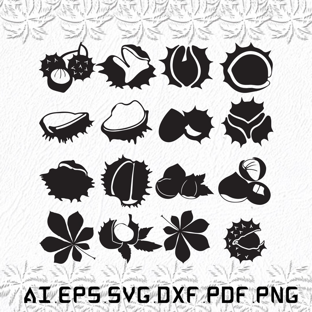 Chestnut Svg, Chestnuts Svg, Chest Nut Svg, Chest Nuts, Nuts, SVG, Ai ...