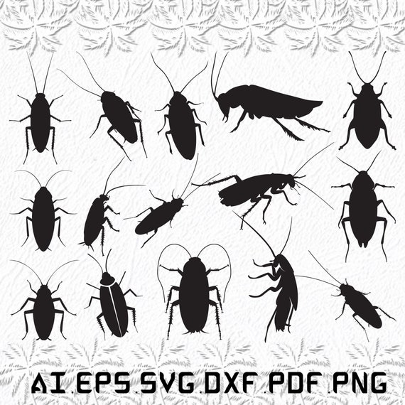 Cockroach Svg Cockroachs Svg Bug Svg Animal Insact SVG - Etsy